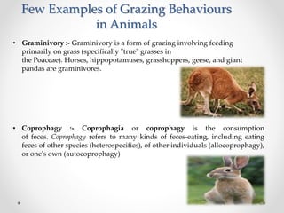 Livestock Grazing & effects on World. | PPTX