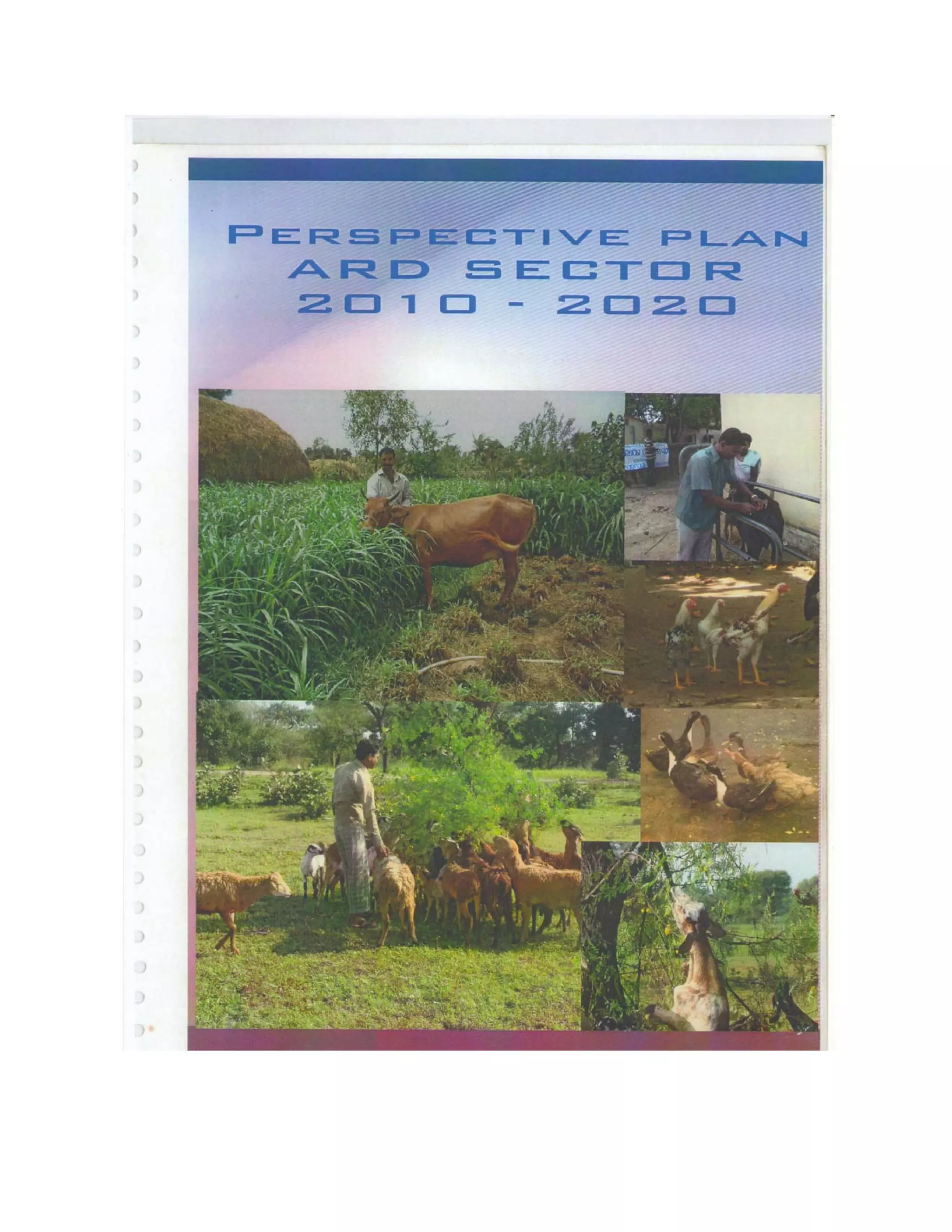 Live stock state perspective plan for finance, subsidy & project ...