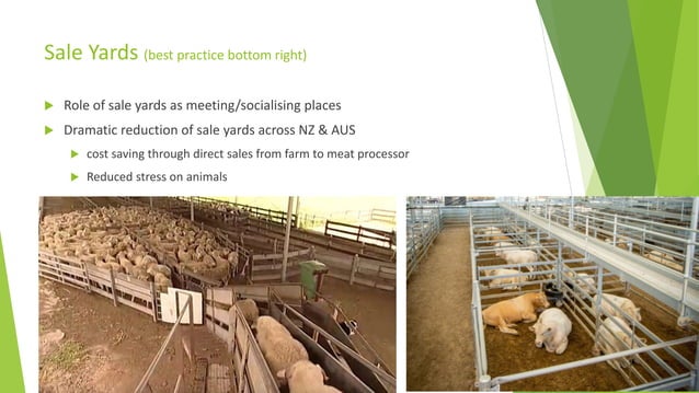 Livestock supply chain logistics | PPT