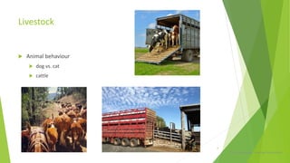 Livestock supply chain logistics | PDF | Agriculture | Industries