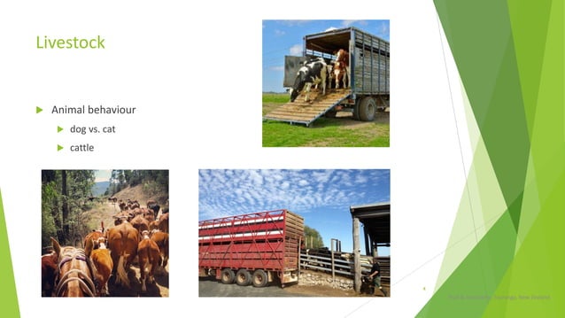 Livestock supply chain logistics | PPT