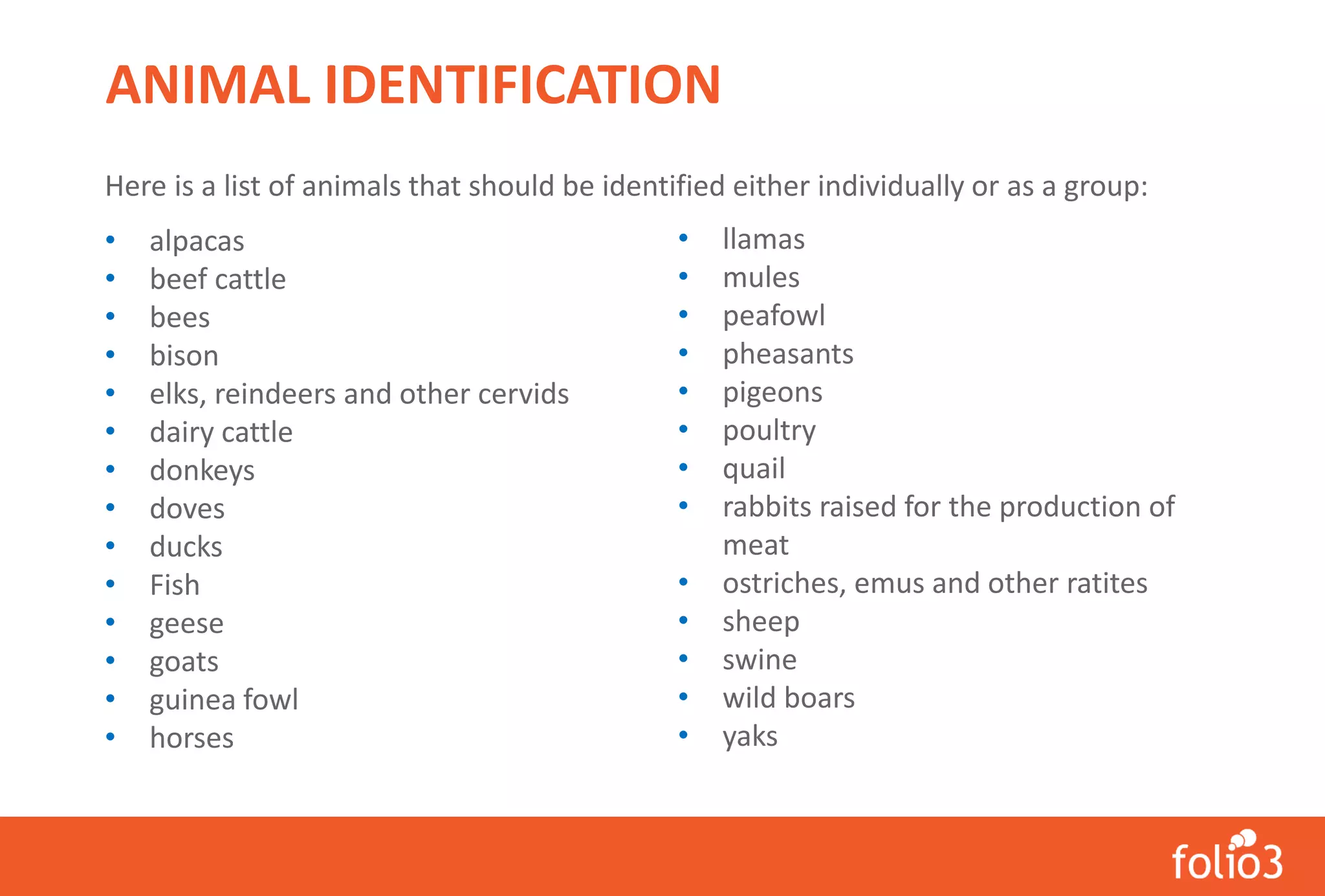 Livestock Identification and Traceability System | Beef, Sheep, Goat ...