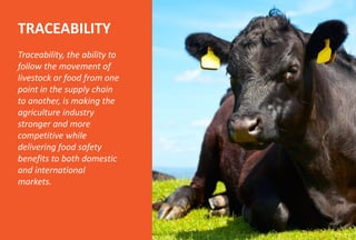 Livestock Identification and Traceability System | Beef, Sheep, Goat, Pigs, Poultry & More | PDF