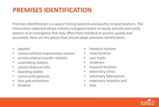 Livestock Identification and Traceability System | Beef, Sheep, Goat ...
