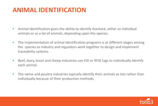 Livestock Identification and Traceability System | Beef, Sheep, Goat ...