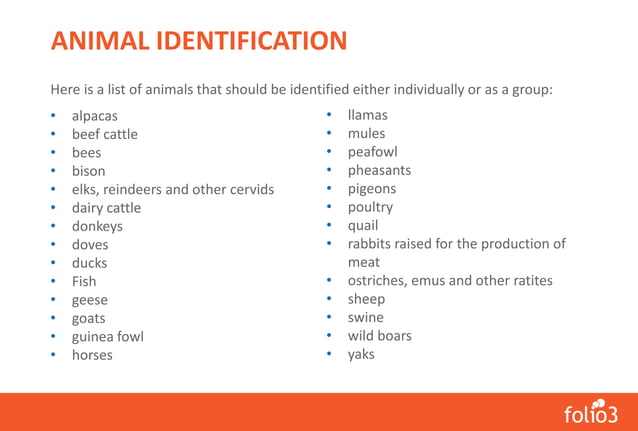 Livestock Identification and Traceability System | Beef, Sheep, Goat ...