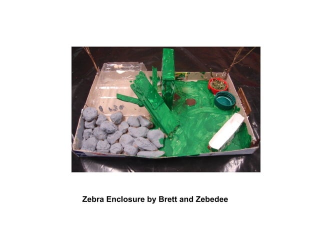 Livewires Zoo Enclosures | PPT