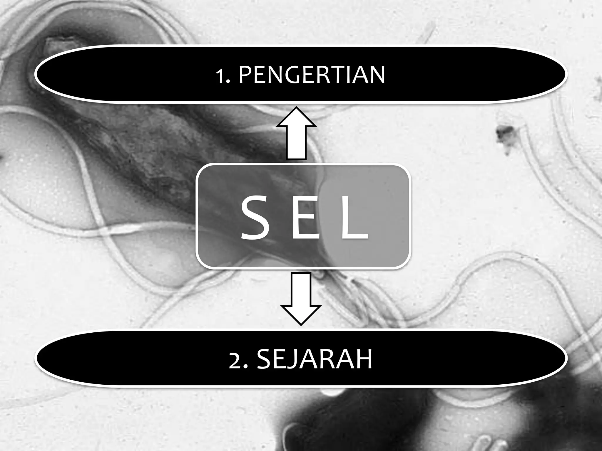 Sejarah Penemuan Sel Pptx
