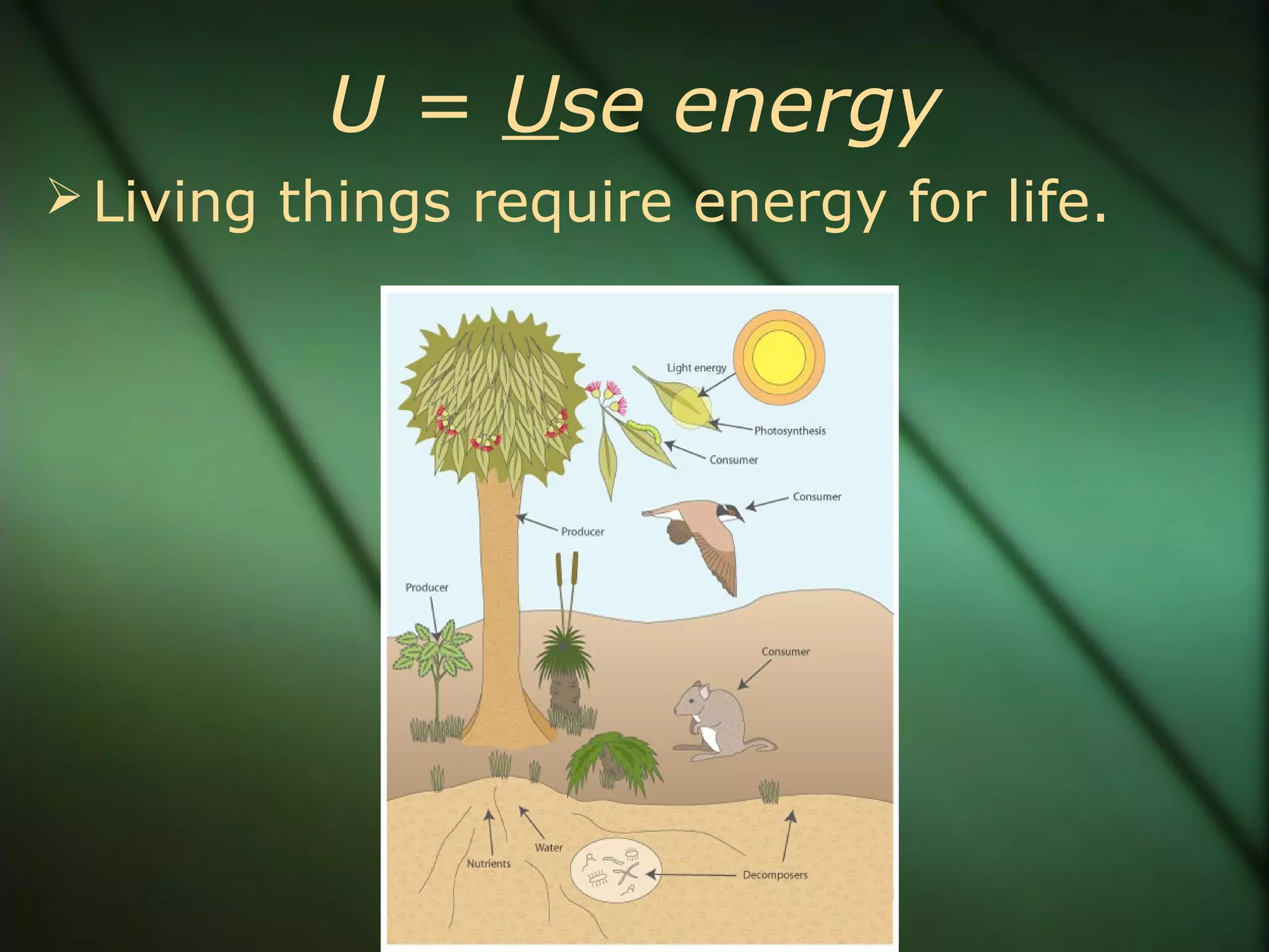 Living | PPT