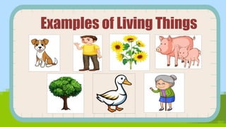 Living-and-Non-living-Things week 17 .pptx