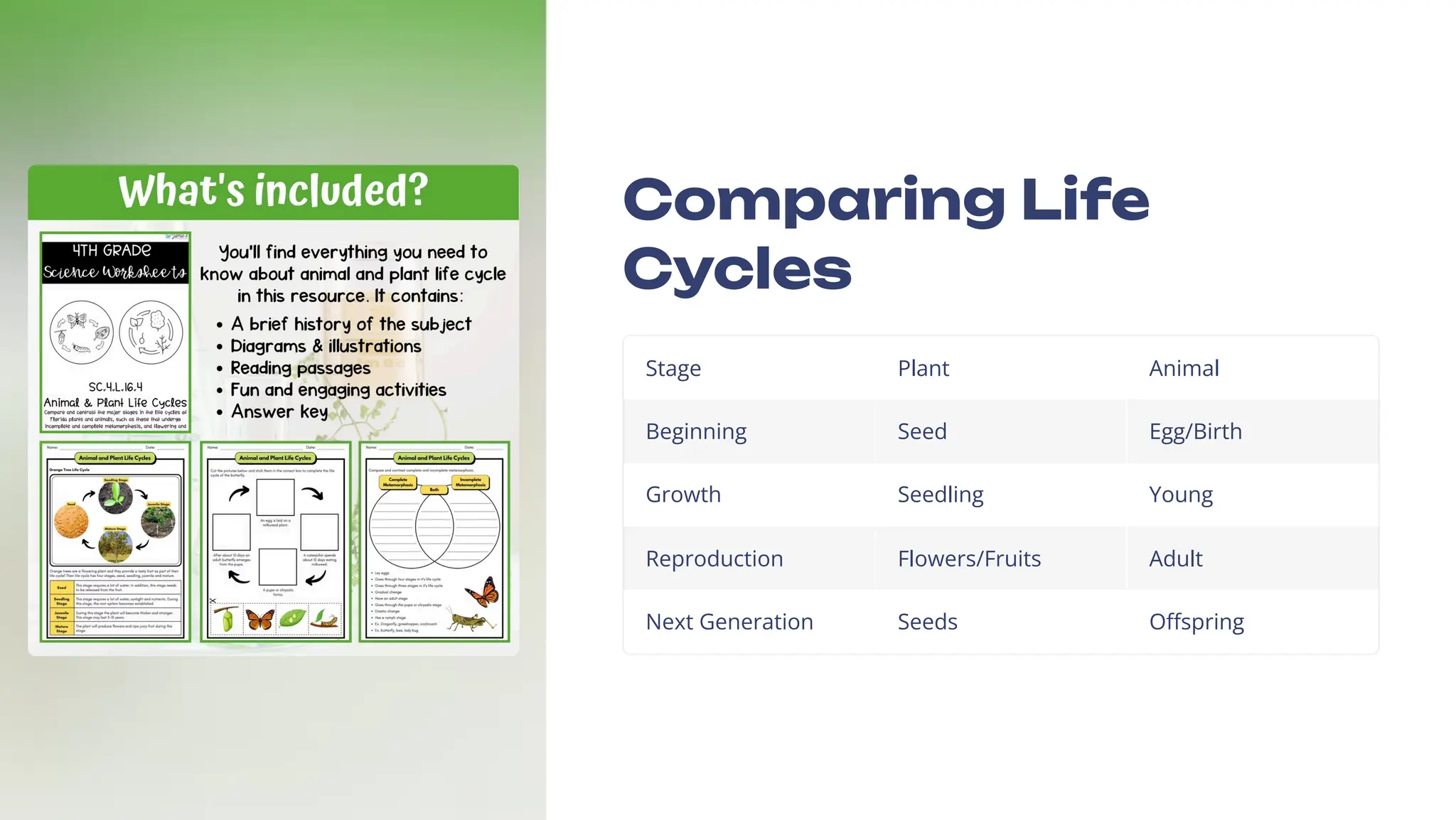 Living-Creatures-Exploring-Their-Characteristics.pdf 6th class science ...