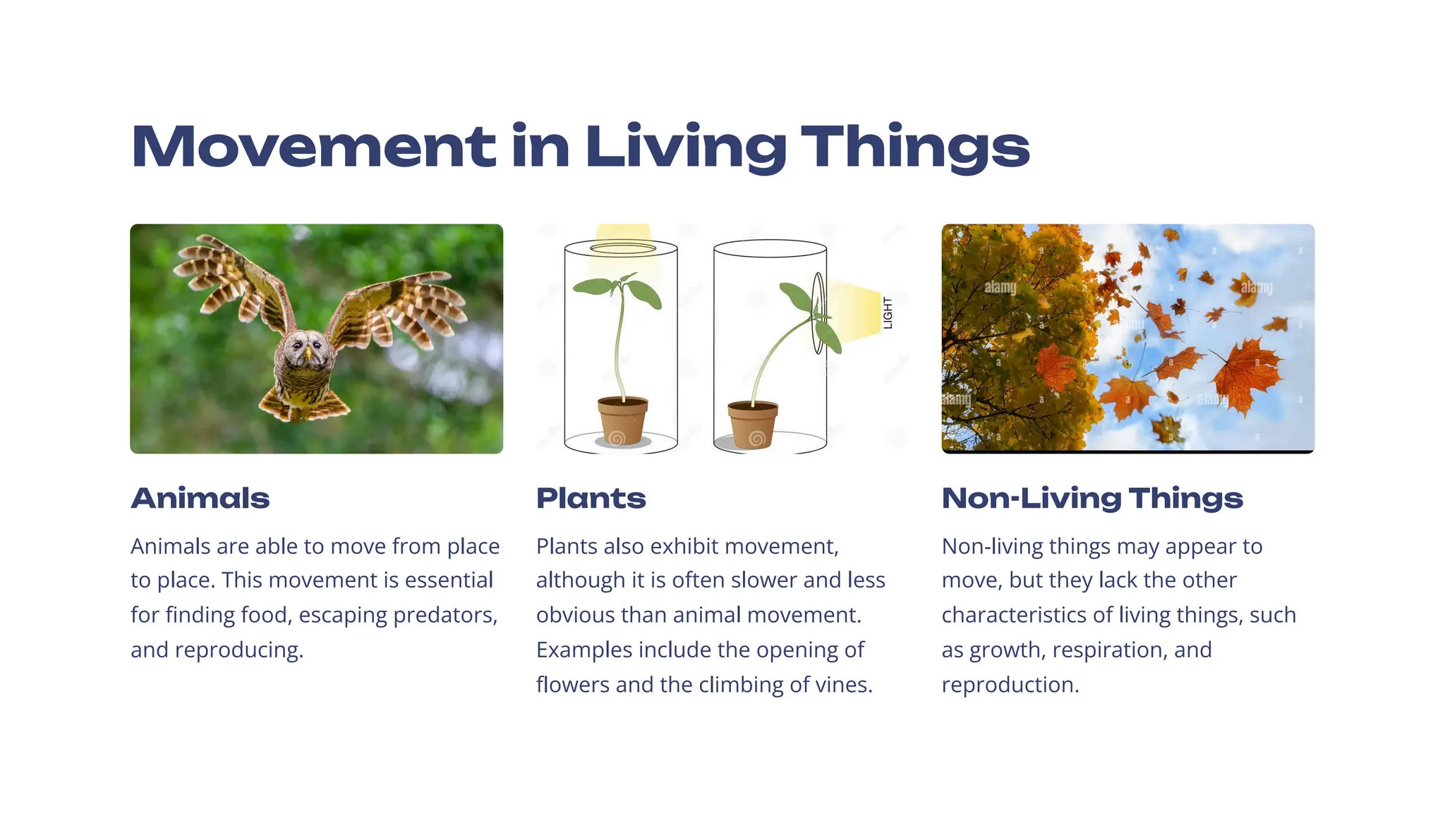 Living-Creatures-Exploring-Their-Characteristics.pdf 6th class science ...