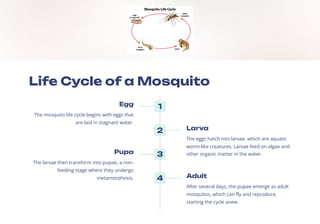 Living-Creatures-Exploring-Their-Characteristics.pdf 6th class science ...