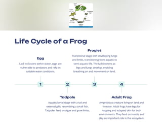 Living-Creatures-Exploring-Their-Characteristics.pdf 6th class science ...