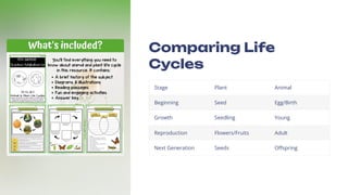 Living-Creatures-Exploring-Their-Characteristics.pdf 6th class science ...