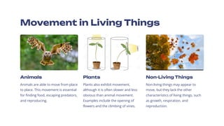 Living-Creatures-Exploring-Their-Characteristics.pdf 6th class science ...