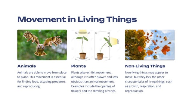 Living-Creatures-Exploring-Their-Characteristics.pdf 6th class science ...