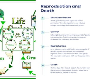 Living-Creatures-Exploring-Their-Characteristics.pdf 6th class science ...