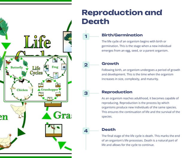 Living-Creatures-Exploring-Their-Characteristics.pdf 6th class science ...