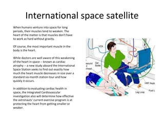 Living in space.ppt
