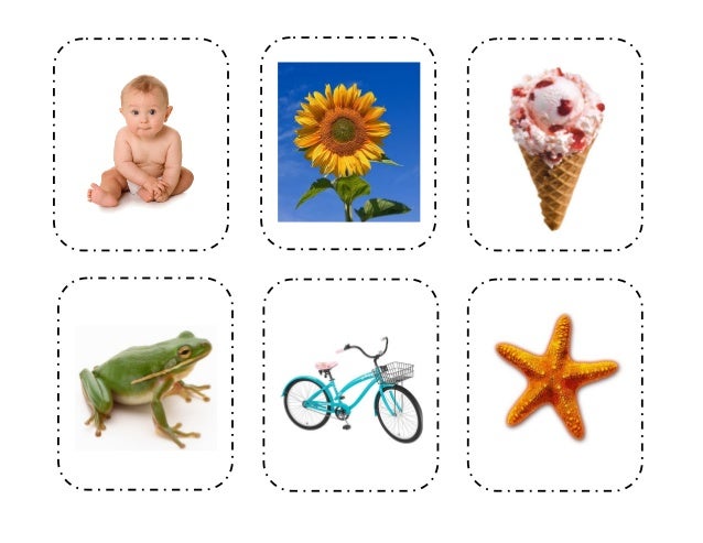 living-nonliving-flashcards.pdf
