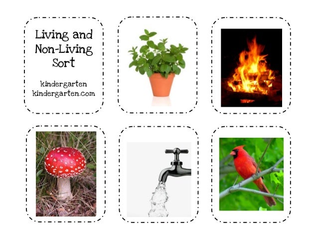 living-nonliving-flashcards.pdf