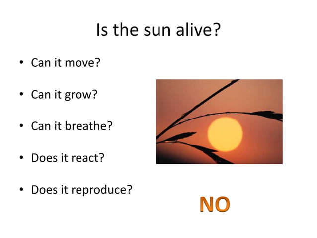 Living or-non-living(2) | PPT