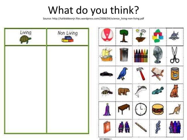 Living or-non-living(2) | PPT