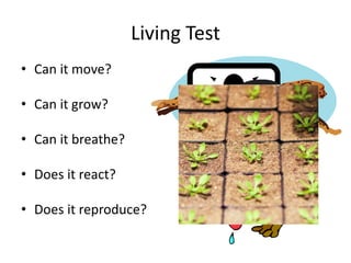 Living or-non-living(2) | PPT