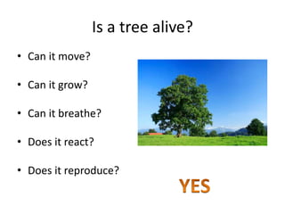 Living or-non-living(2) | PPT