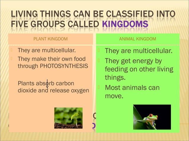 Living things | PPT | Biological Sciences | Science