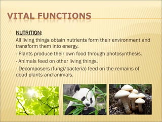 Living things | PPT