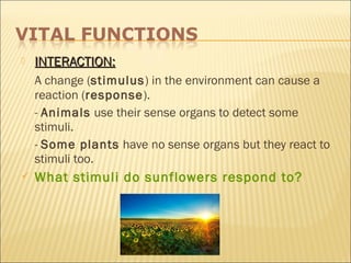Living things | PPT | Biological Sciences | Science