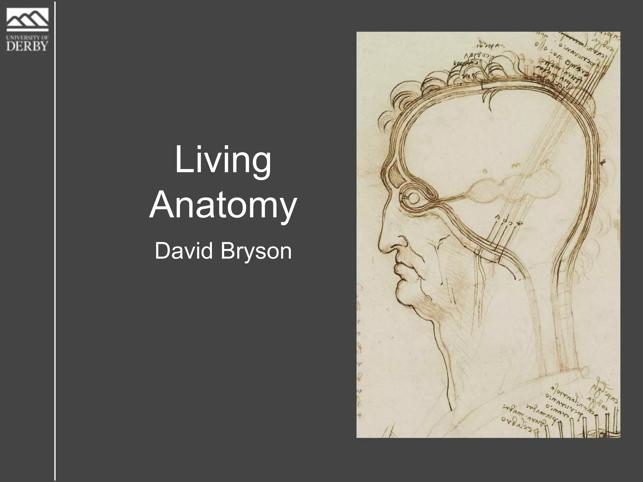 Living anatomy: Curious adventures around the Human Body | PPT