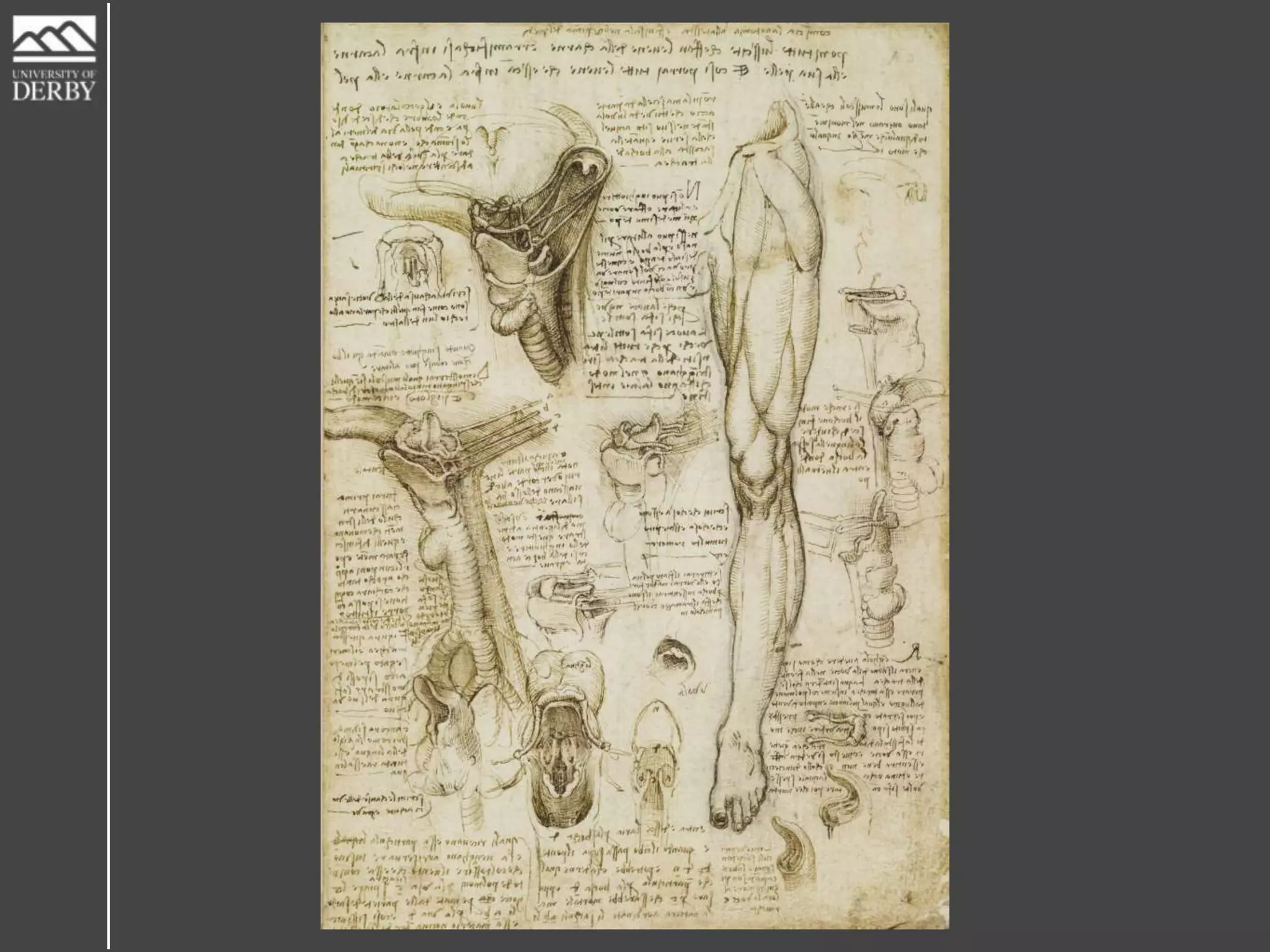 Living anatomy: Curious adventures around the Human Body | PPT