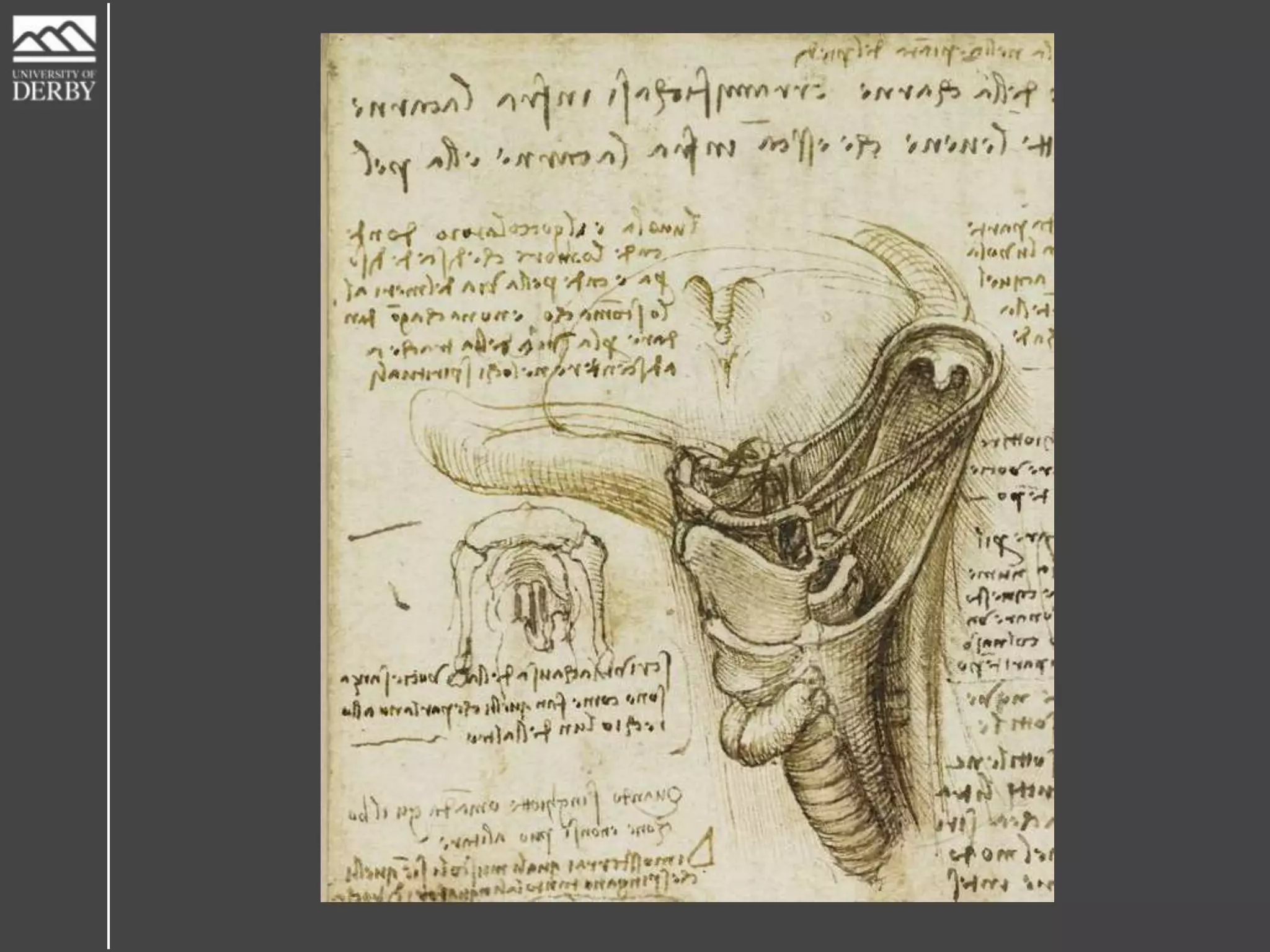 Living anatomy: Curious adventures around the Human Body | PPT