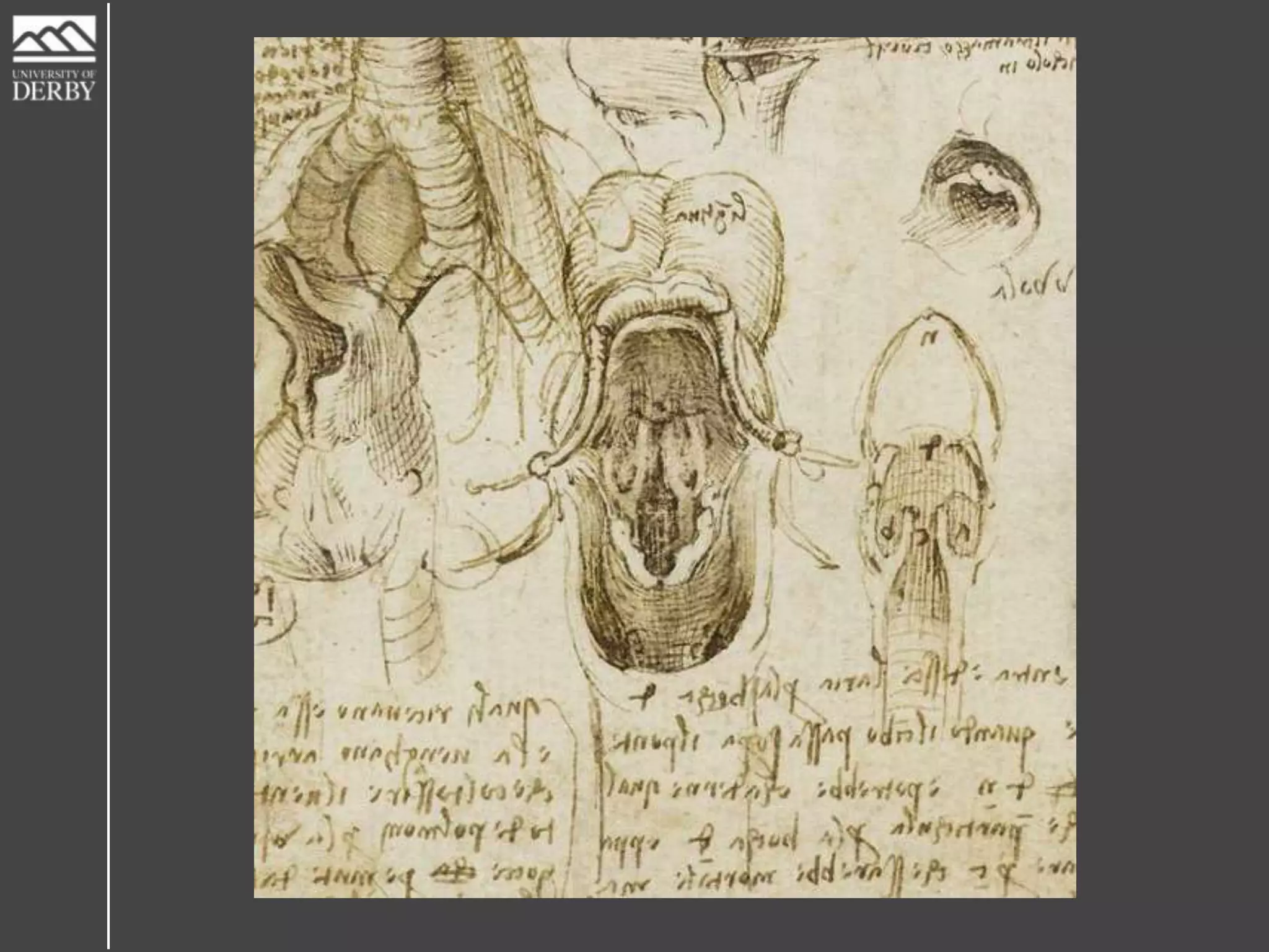 Living anatomy: Curious adventures around the Human Body | PPT