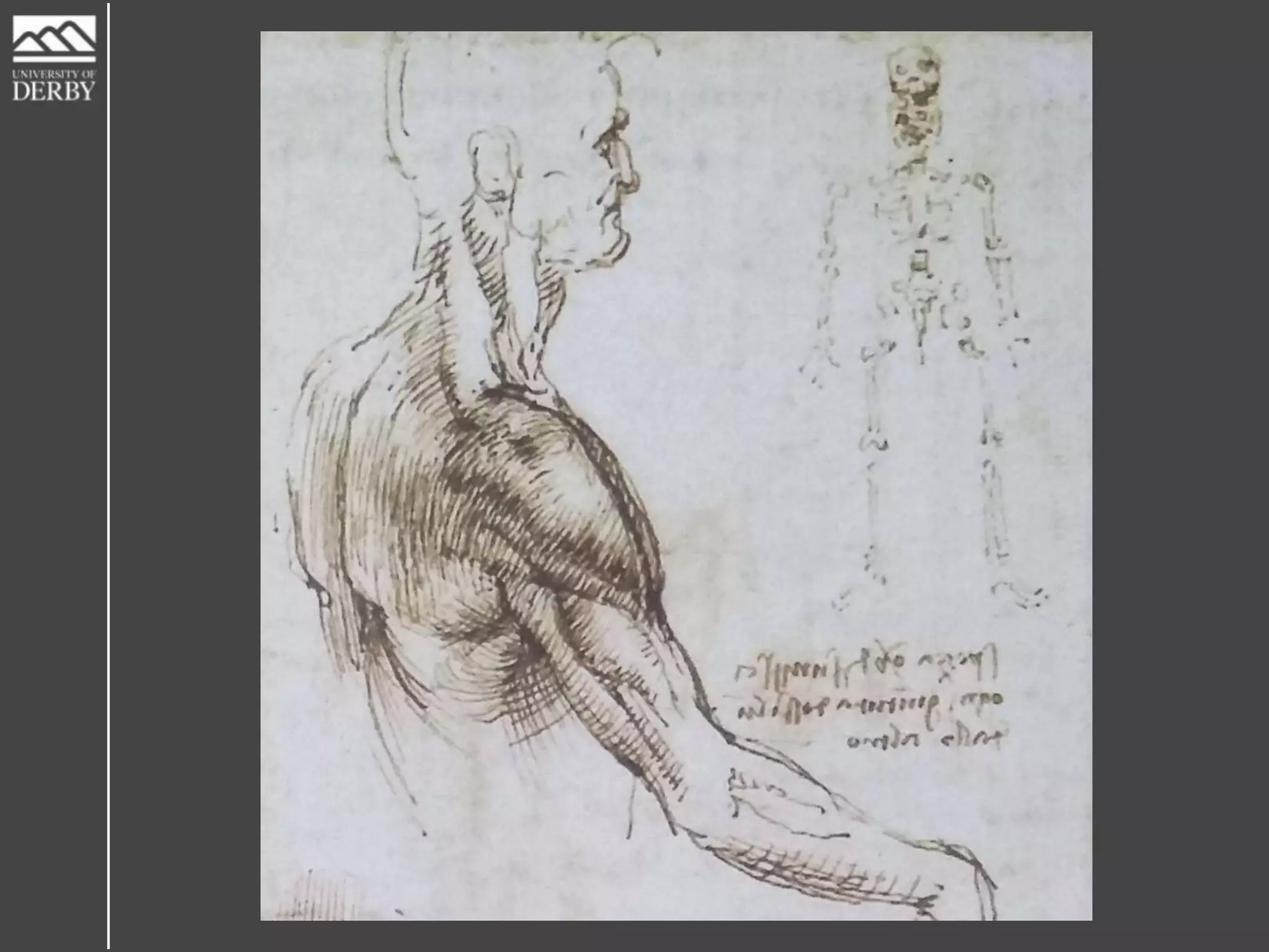 Living anatomy: Curious adventures around the Human Body | PPT