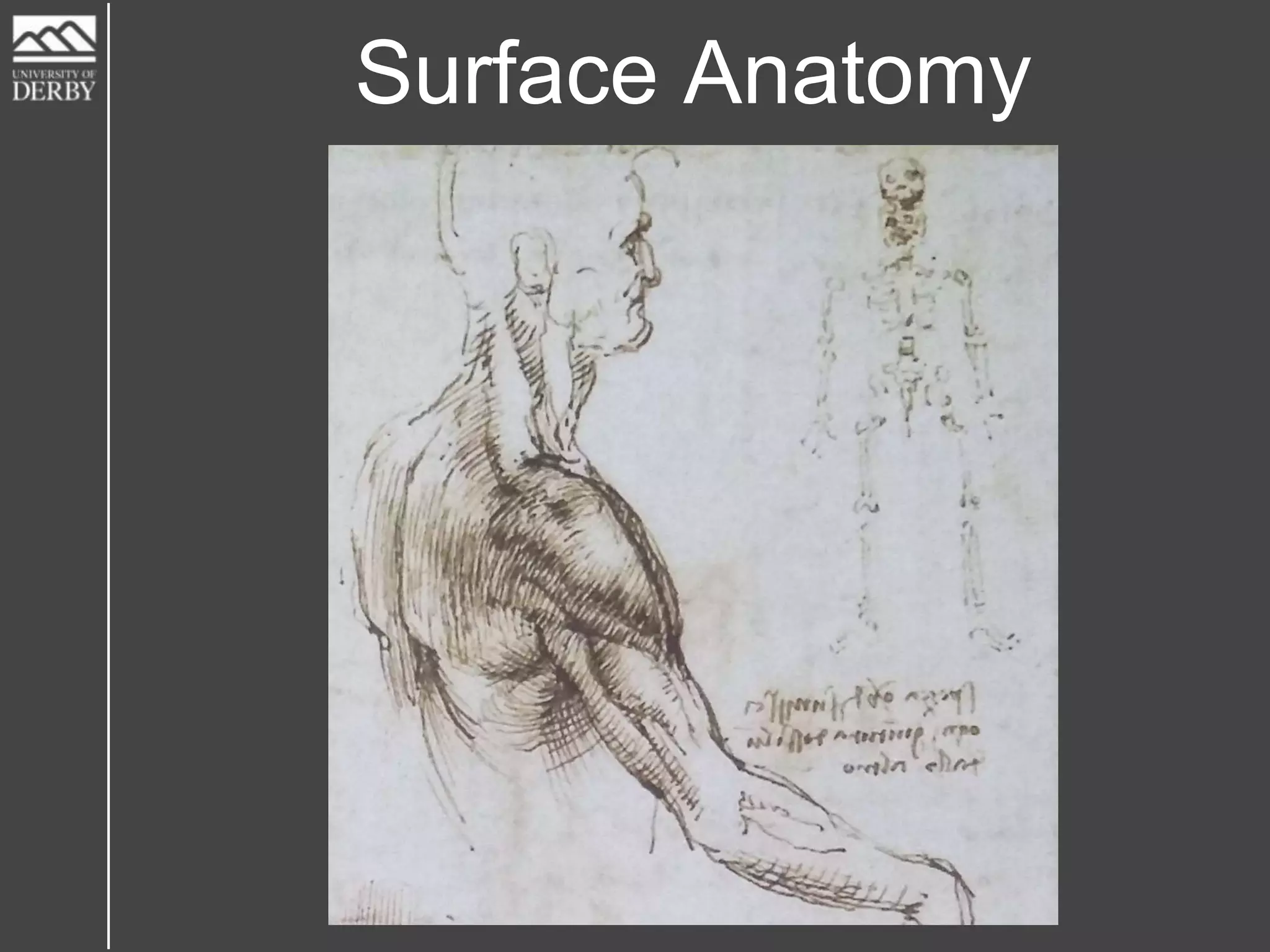 Living anatomy: Curious adventures around the Human Body | PPT
