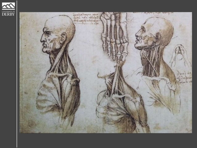 Living anatomy: Curious adventures around the Human Body | PPT