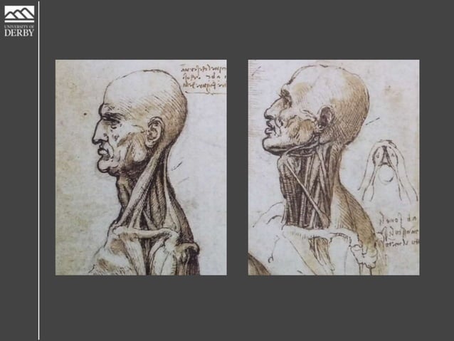 Living anatomy: Curious adventures around the Human Body | PPT