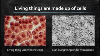 Living and Non Living | PPTX