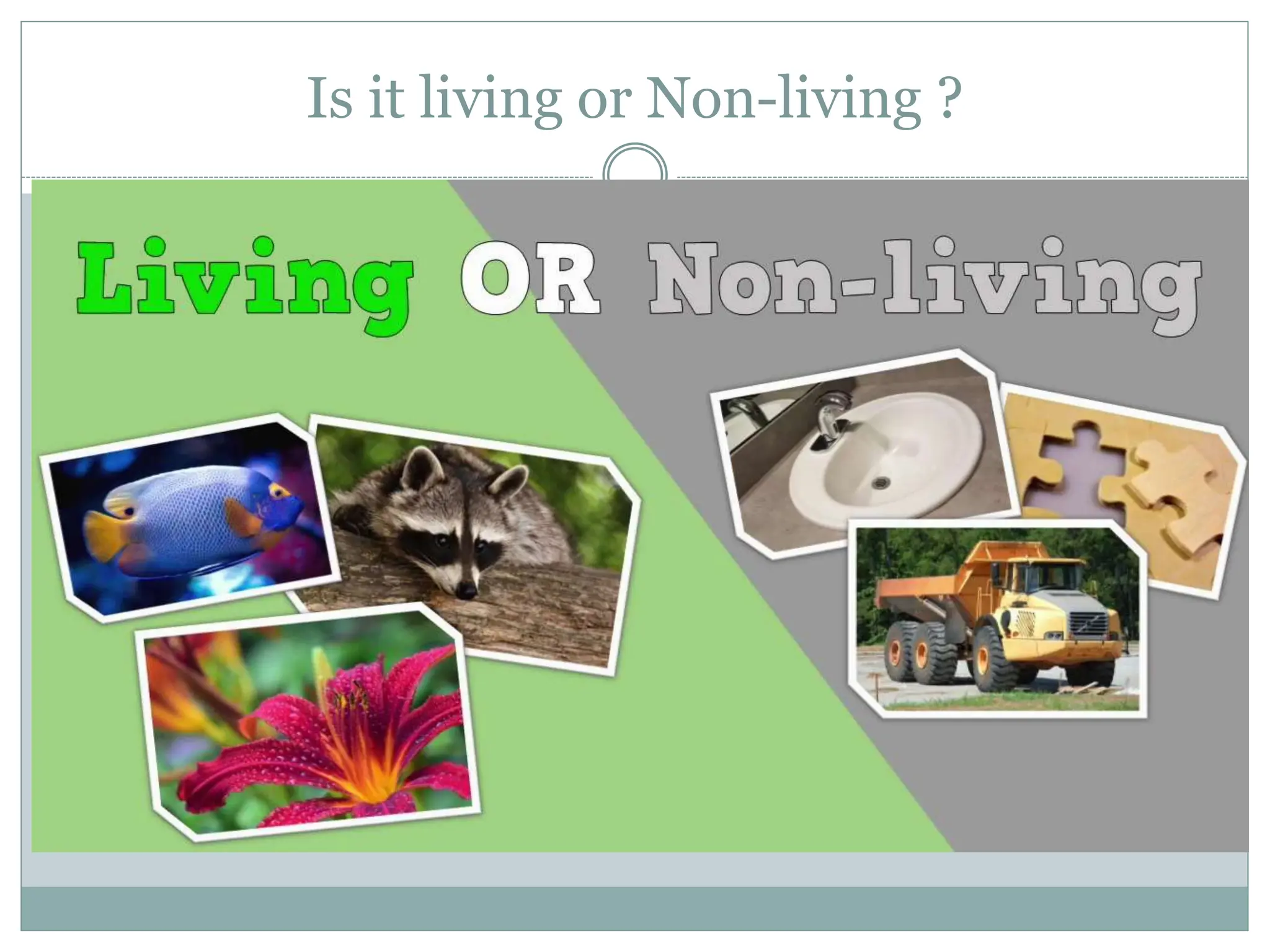 living and non-living (1).pptx