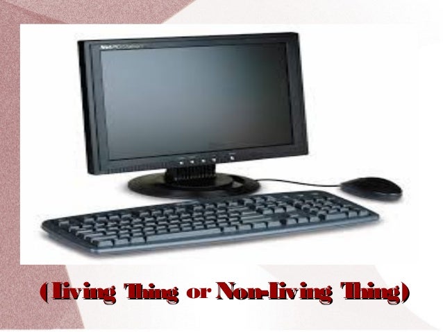 Living and non living things