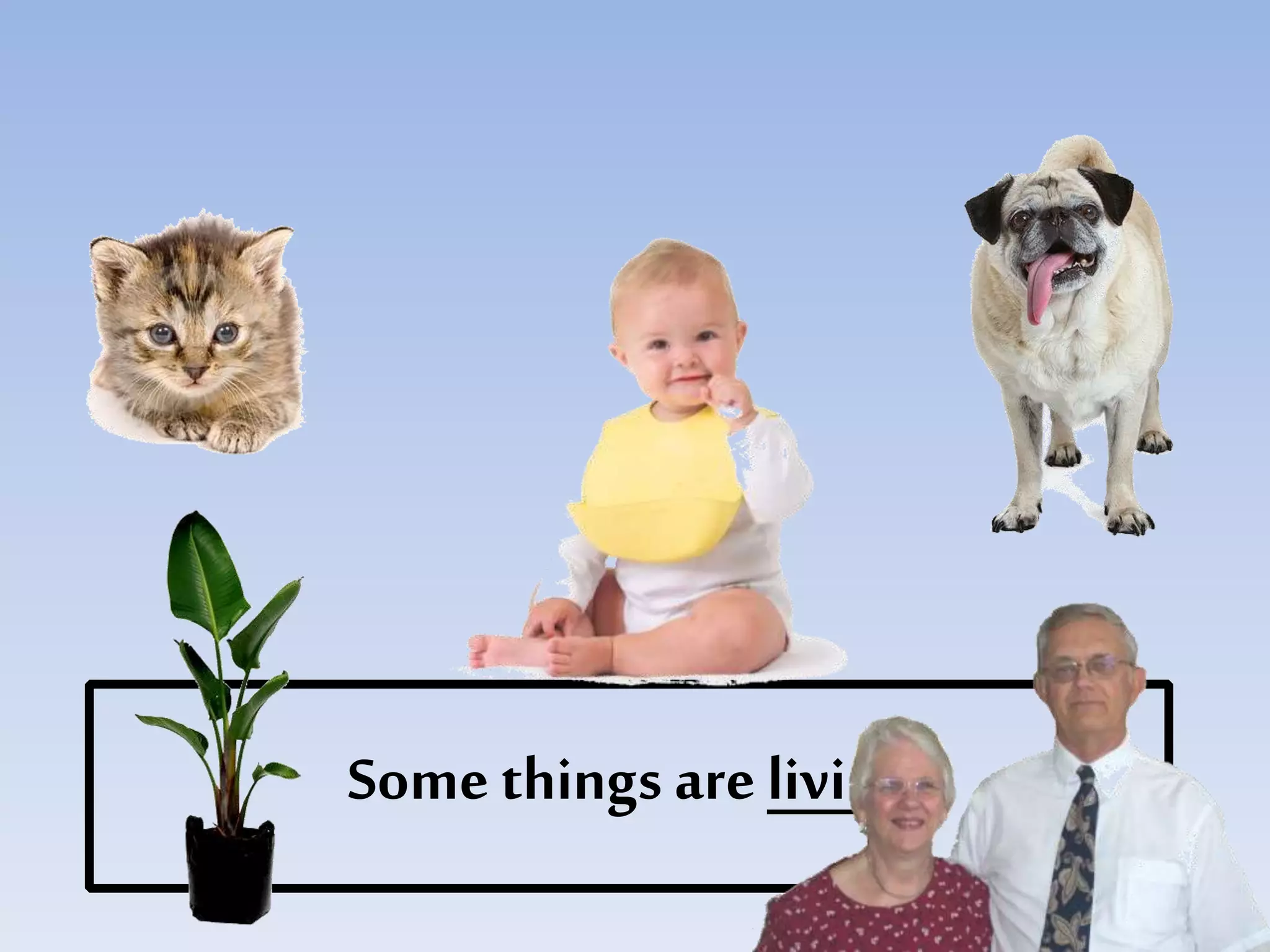 Living and non living things | PPT