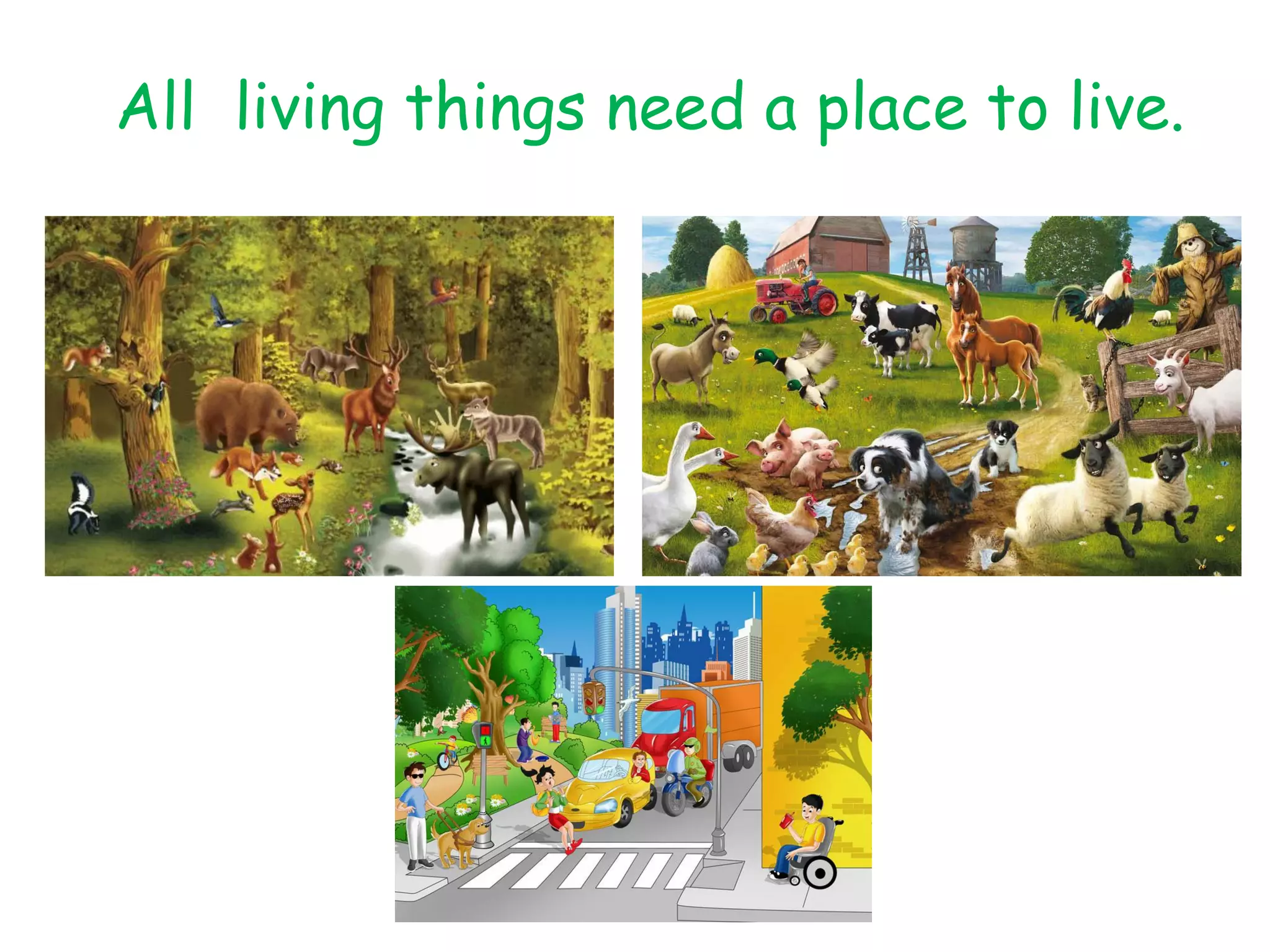 Living and non living things | PDF