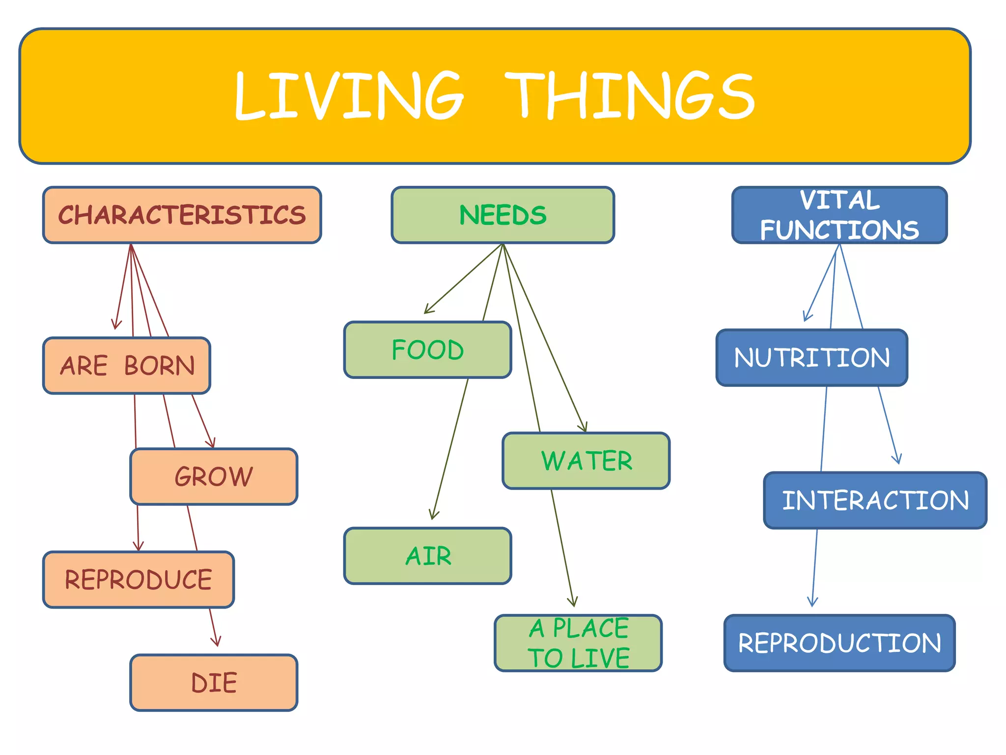 Living and non living things | PDF