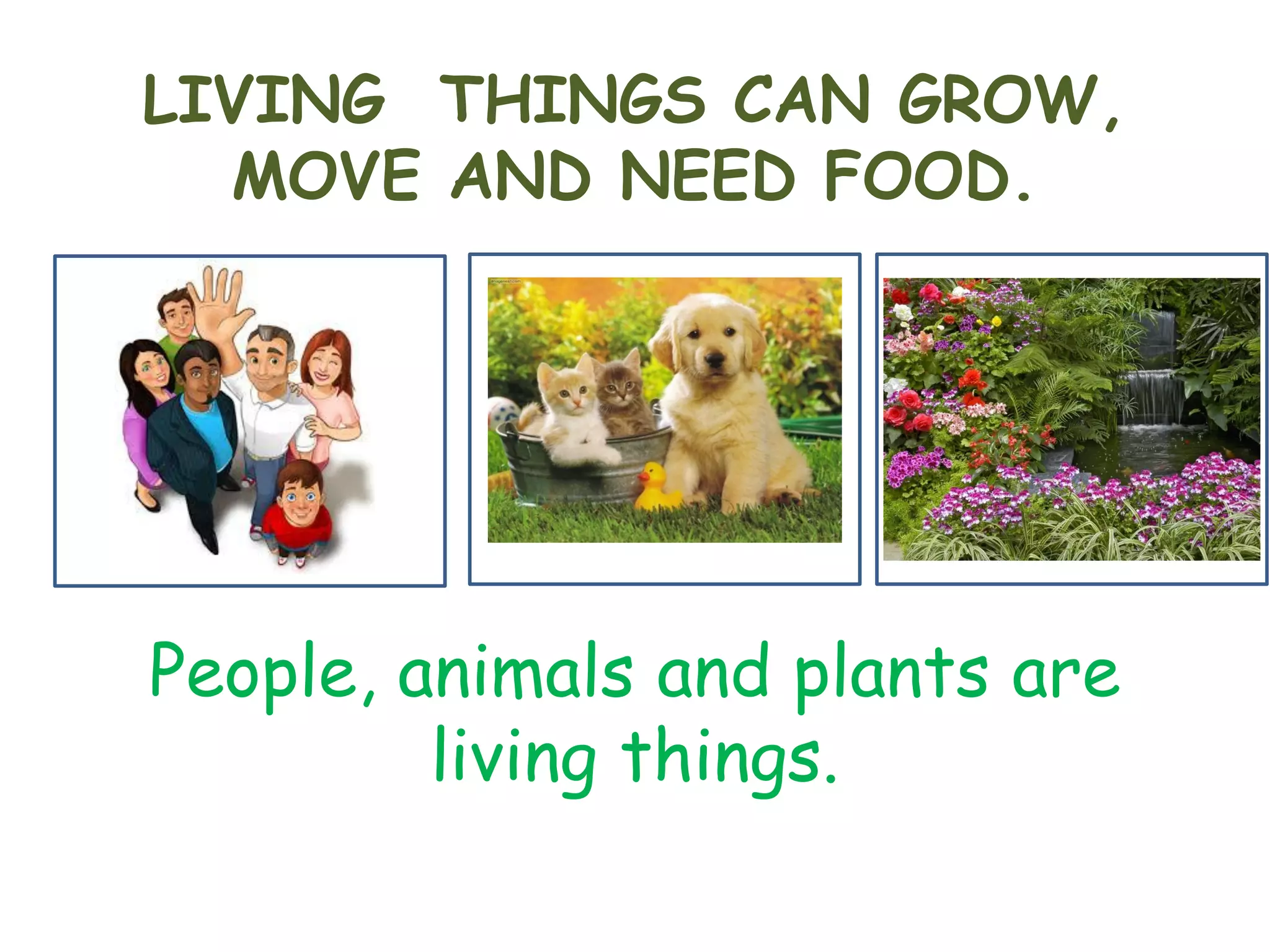 Living and non living things | PDF