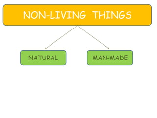 Living and non living things | PDF