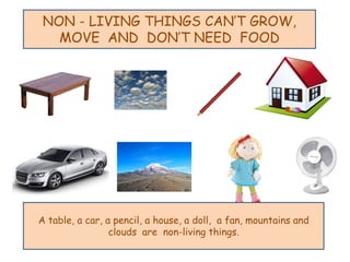 Living and non living things | PDF